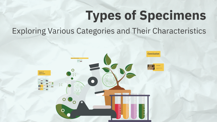 Types of Specimens by dilshad kheder on Prezi