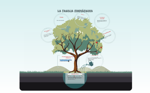La familia sindiasmica by Alberto José Bastidas Parodi on Prezi
