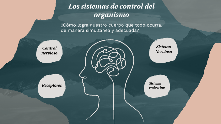 Los sistemas de control del organismo by Antonella Rossi on Prezi