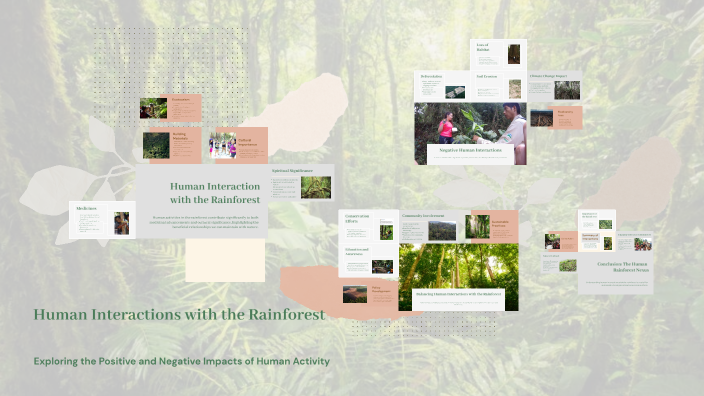 Human Interactions with the Rainforest by John Leneghan on Prezi
