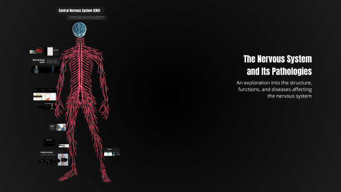 The Nervous System and Its Pathologies by José María Sanchez Moclan on ...