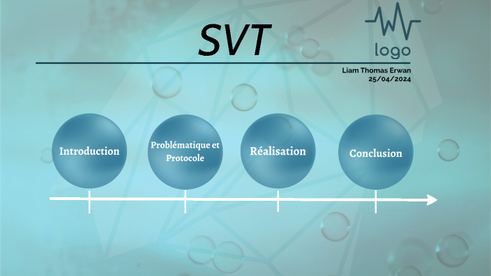 Diapo LTE SVT 1G5 by Thomas Rubert on Prezi