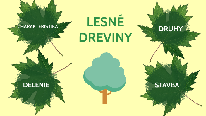 Lesné dreviny by Slavomíra Karpačová on Prezi