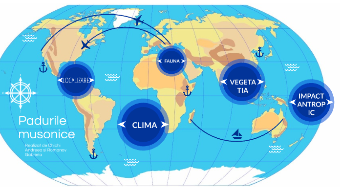 Padurile musonice by Andreea Chichi on Prezi