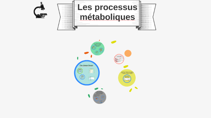 Les processus métabolique by Jasmine Laurin on Prezi
