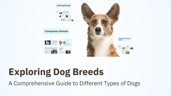 Exploring Dog Breeds by Issac Wilson on Prezi