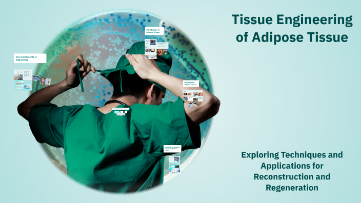 Tissue Engineering of Adipose Tissue by Varsha MC on Prezi