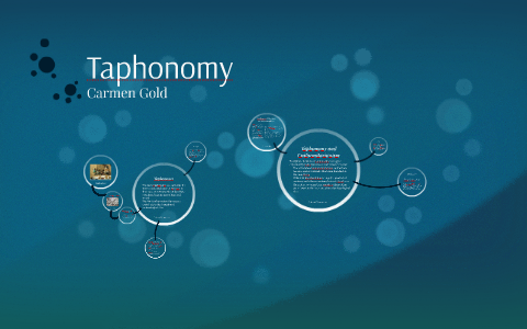 Taphonomy by Carmen Gold