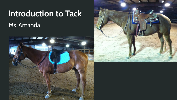 Tack of a Horse by Amanda Jones on Prezi