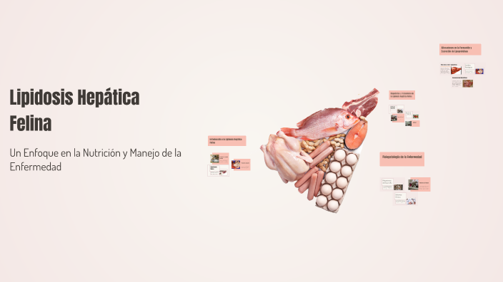 Lipidosis Hepática Felina by Yeraldin Orozco Guzman on Prezi