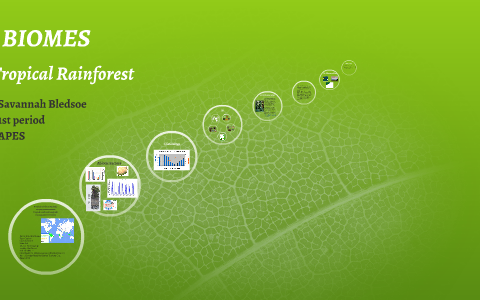 BIOMES by Savannah Bledsoe on Prezi