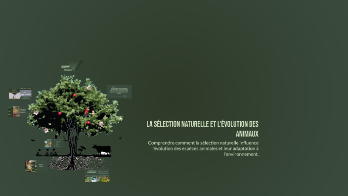 La sélection naturelle et l'évolution des animaux by Mahmoud Ben ...