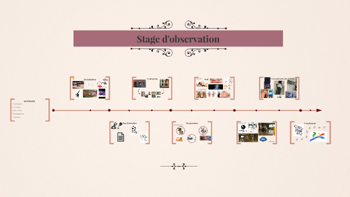 Stage d'observation by Alexandra Courtois on Prezi