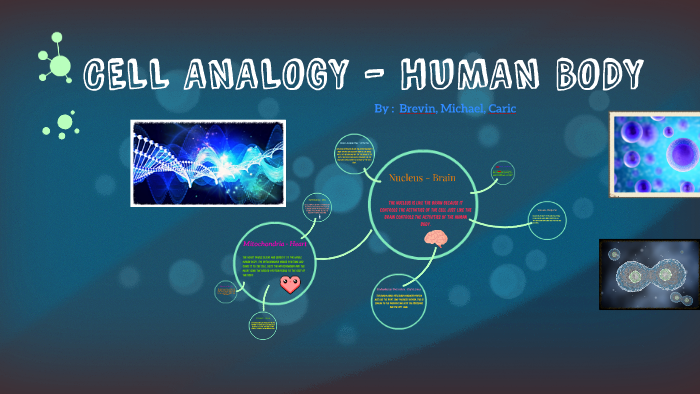 Cell Analogy Human Body by Brevin Baskaran on Prezi