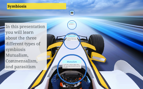 symbiosis by Jacob Janiga on Prezi