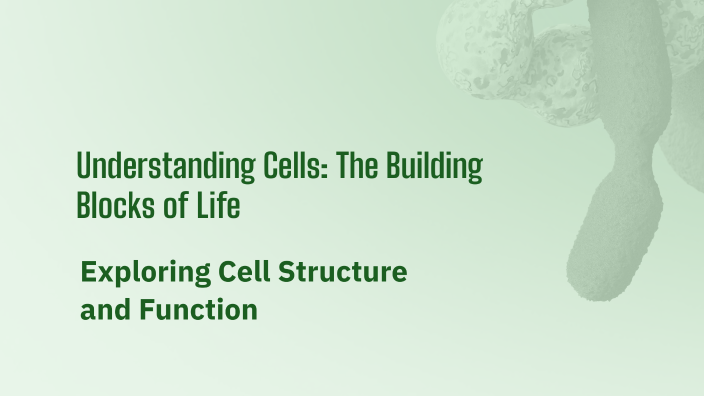 Understanding Cells: The Building Blocks of Life by Ulysse Ducouret on ...