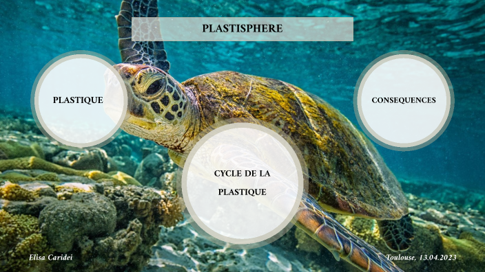 Plastisphère by ec soleluna on Prezi