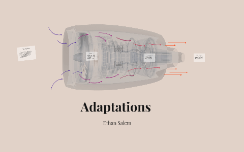 Adaptations by Ethan Salem