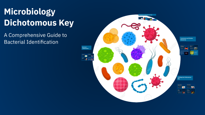 Microbiology Dichotomous Key by Megan Craig on Prezi