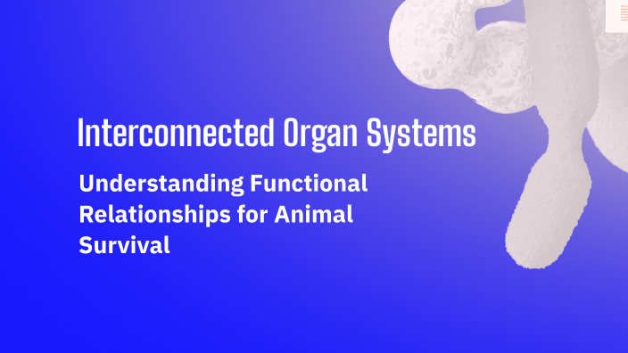 Interconnected Organ Systems by Kimberly Enoy on Prezi