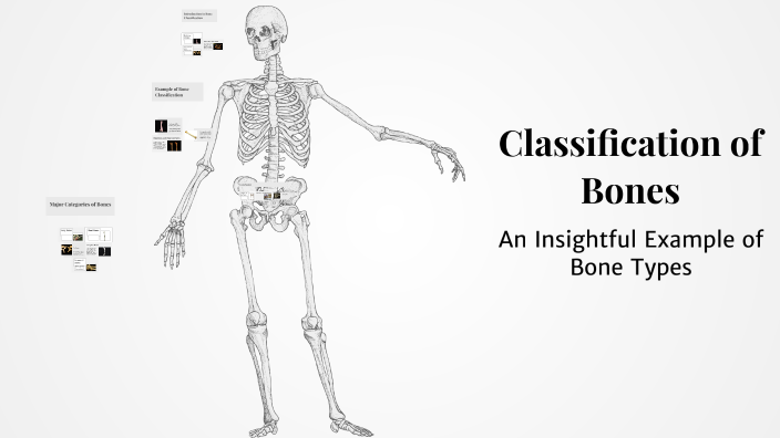 Classification of Bones by ديما عماد on Prezi