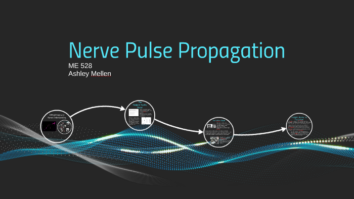Nerve Impulse Propagation by Ashley Mellen on Prezi