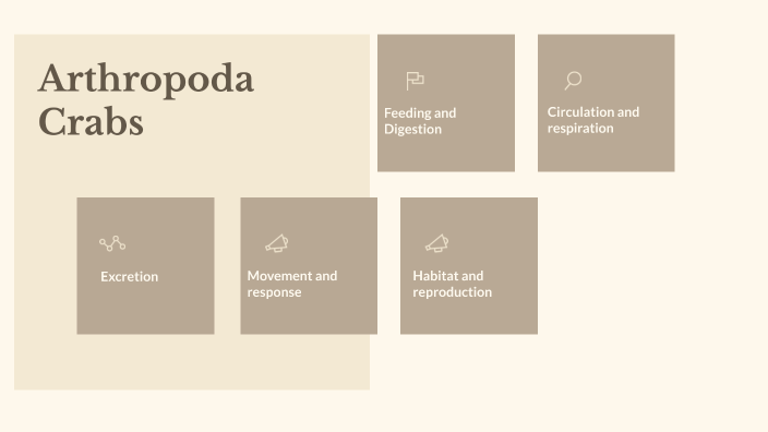 Animal Diversity Project by Yohali Tajonar-Diaz on Prezi