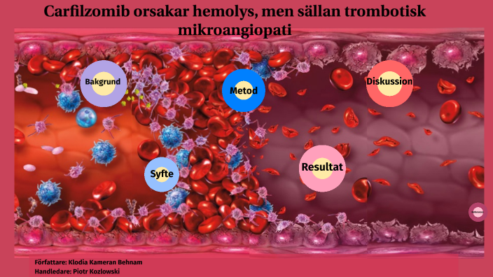 Hemolys kopia 2 by Klodia Behnam on Prezi