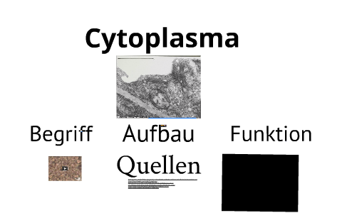 Cytoplasma