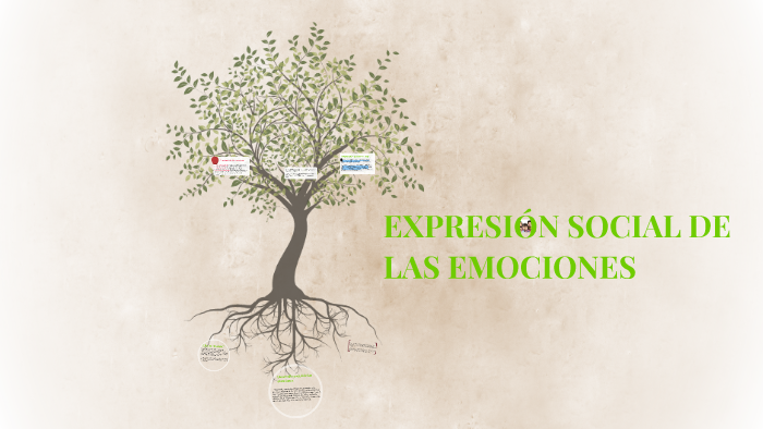 EXPRESIÓN SOCIAL DE LAS EMOCIONES by daniela vasquez on Prezi