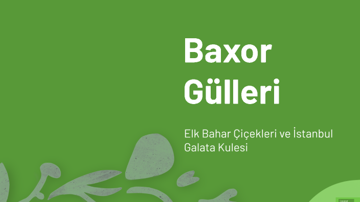 Baxor Gülleri by Gulnora Xayidmurodiva on Prezi