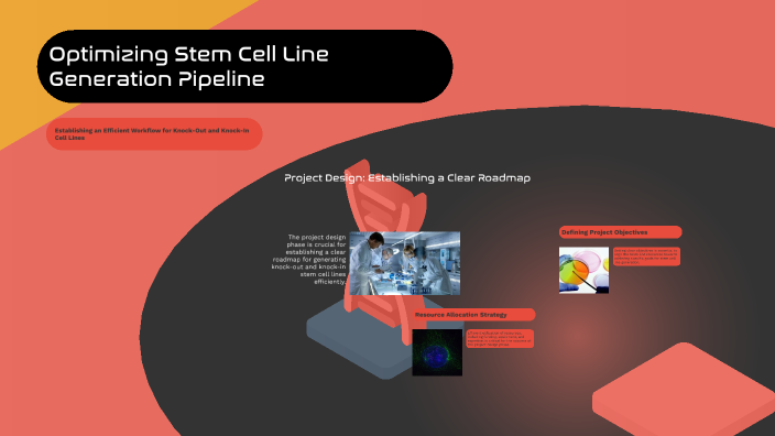 Optimizing Stem Cell Line Generation Pipeline by enrica pellegrino on Prezi