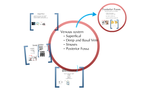 Venous drainage of brain by Neal Larkman on Prezi