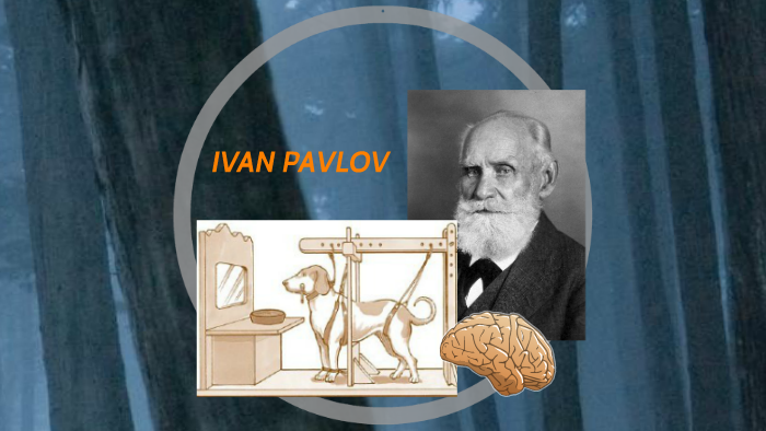 Modelo de Aprendizaje. PAVLOV by cristian Mazabuel on Prezi