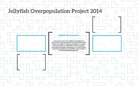 Jellyfish Overpopulation Project 2014 by Tallon Moffatt on Prezi