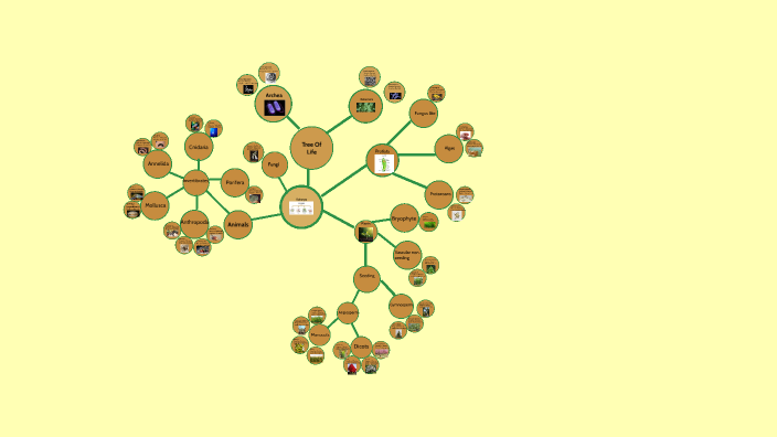 Tree of Life by Dominic Harris on Prezi