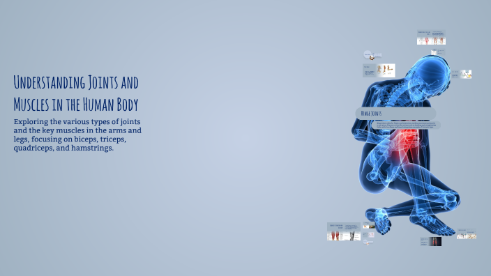 Understanding Joints and Muscles in the Human Body by Pooja Sharma on Prezi