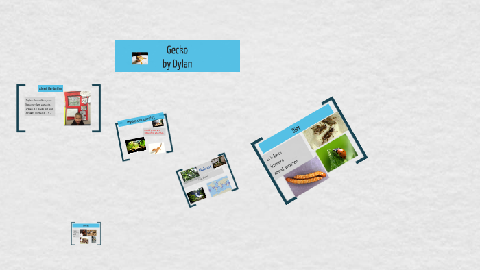 Gecko by Stephanie Korb on Prezi