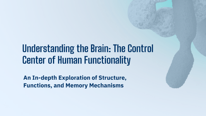 Understanding the Brain: The Control Center of Human Functionality by ...