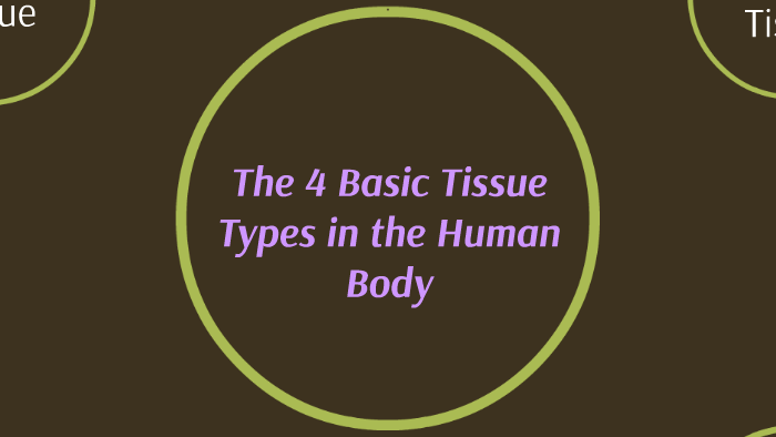 The 4 Basic Tissue Types in the Human Body by Sandra Lorente on Prezi
