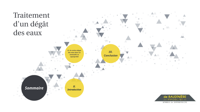 Action Professionnel by Emma Poirier on Prezi