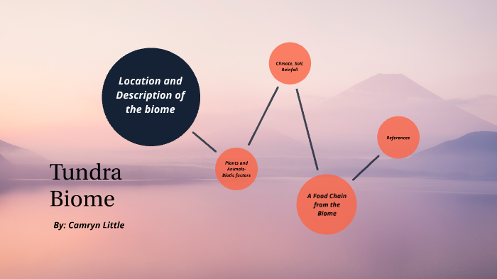 Biome Brochure Project by Camryn Little on Prezi
