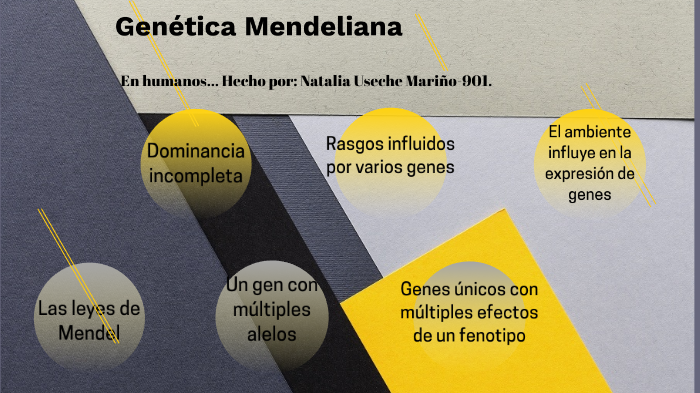 Genética Mendeliana by Natalia Mariño on Prezi