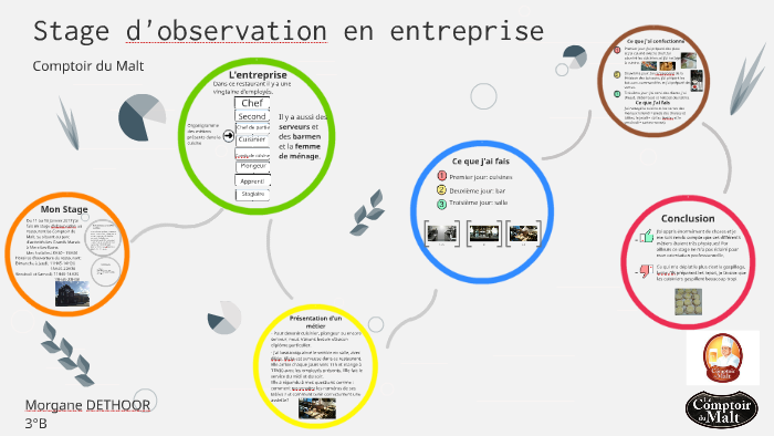 Stage d'observation en entreprise by Morgane Dethoor on Prezi