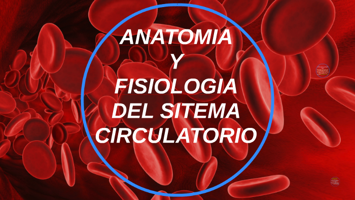 ANATOMIA Y FISIOLOGIA STEMNA CIRCULATORIO by Yefrey Jhasmany Moreno ...