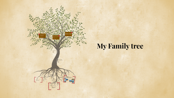 family tree by Andrea Garza on Prezi