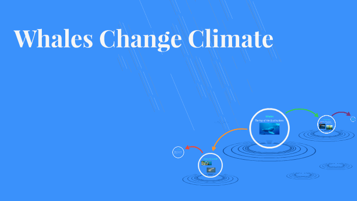 Whales Change Climate by Ashton Newman on Prezi