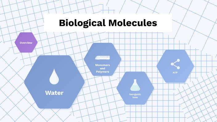 Biological Molecules: Lesson 1 by Amelia Meecham on Prezi