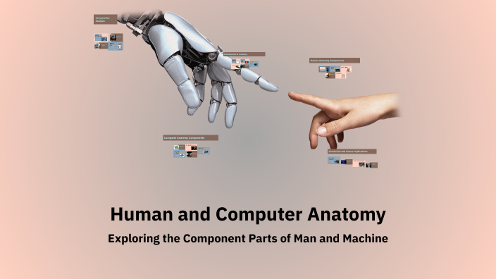 Human and Computer Anatomy by AinVays_TV on Prezi
