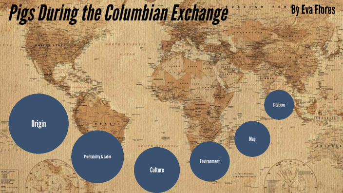 Pigs During the Columbian Exchange by Eva Flores on Prezi